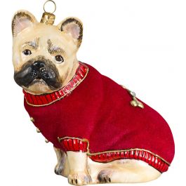 French Bulldog Fawn with Red Velvet Coat