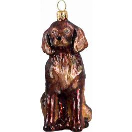 Irish Setter