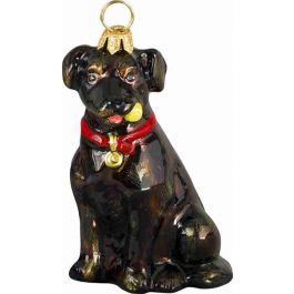 Lab Chocolate with Tennis Ball