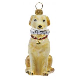 Yellow Lab with Newspaper